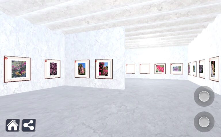 バラフェス2022～VR写真展 - VRギャラリー（オンライン3DフォトVRギャラリー）